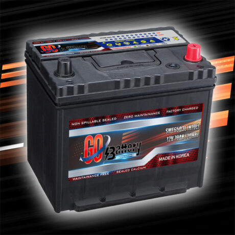 Go Car Battery – OSMA Trading